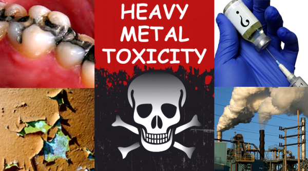 Dangers of Heavy Metals to Health - Detoxmetals