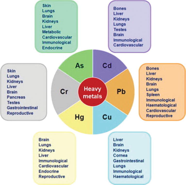 Toxic Effects of Heavy Metals - Detoxmetals